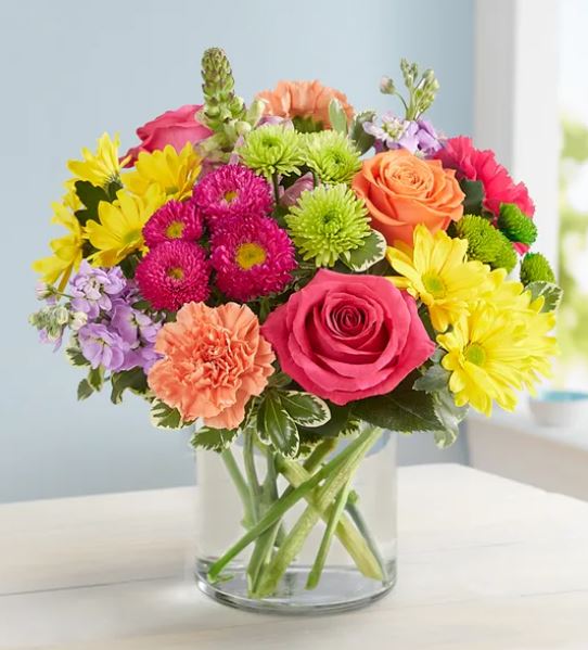 Blooming Embrace – Paradise Flowers | We Deliver Love. Today. Same-Day ...